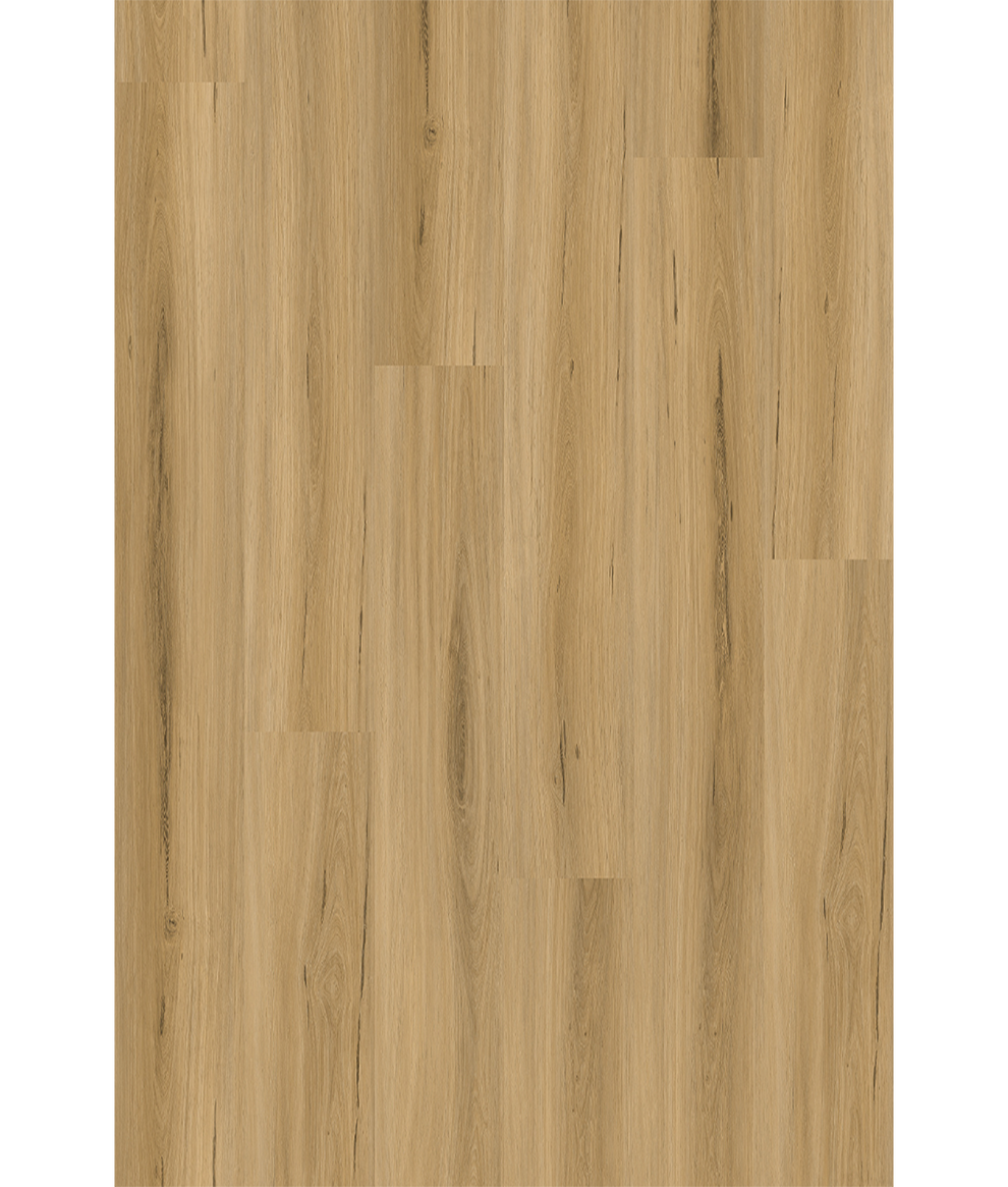 Maple (SPC) – La Europa